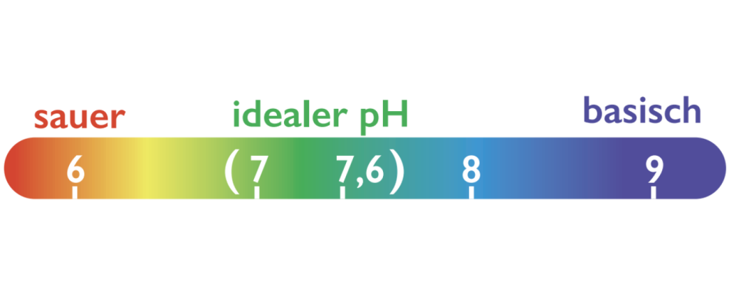 Ein falscher pH-Wert im Wasser - Marina Piscine